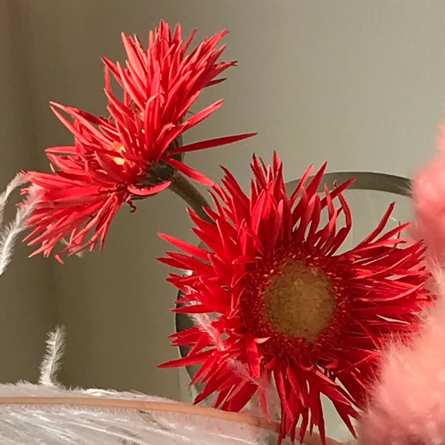 Дневник thegraduatedcind : LiveInternet - Российский Сервис Онлайн ...